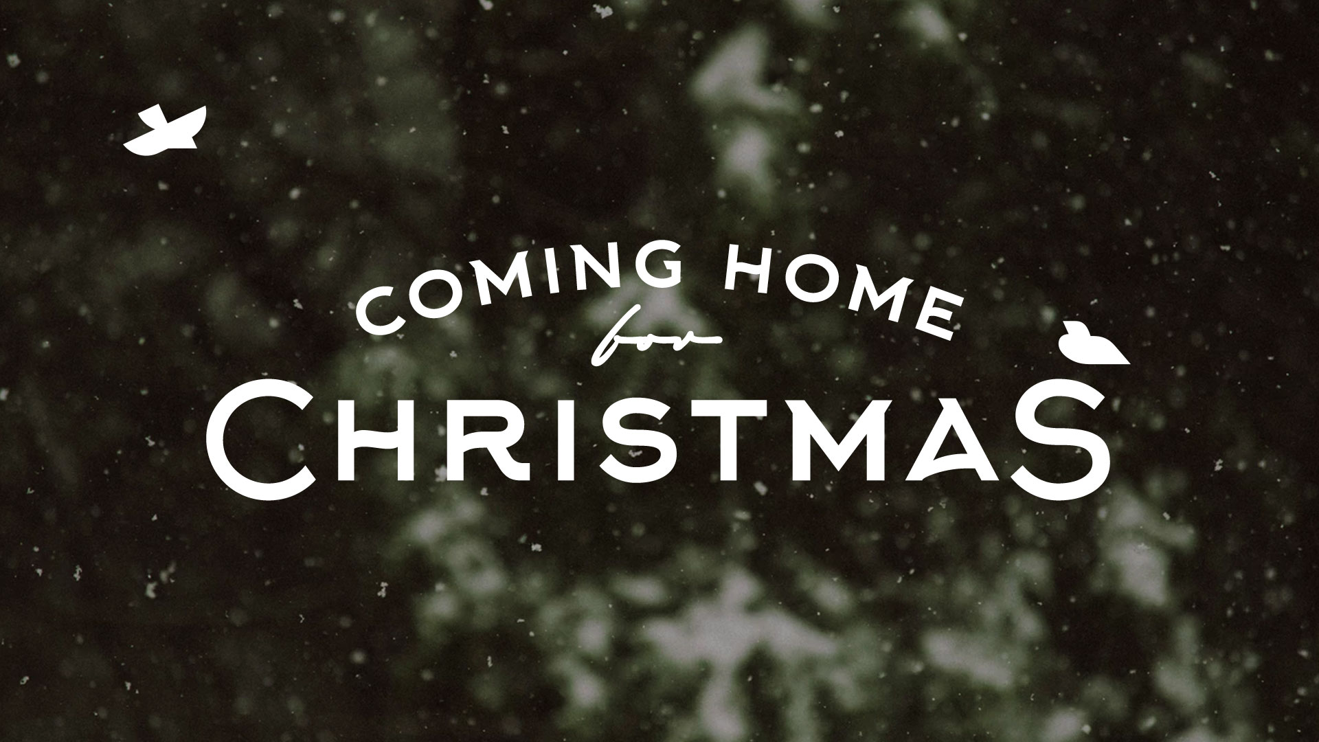Coming Home For Christmas - Sermon Series - Vintage Faith Church
