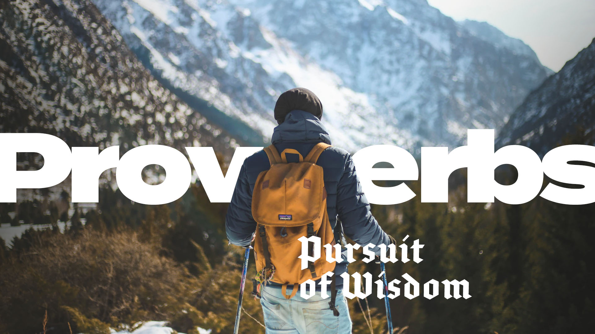 Proverbs: Pursuit of Wisdom - Sermon Series - Vintage Faith Church